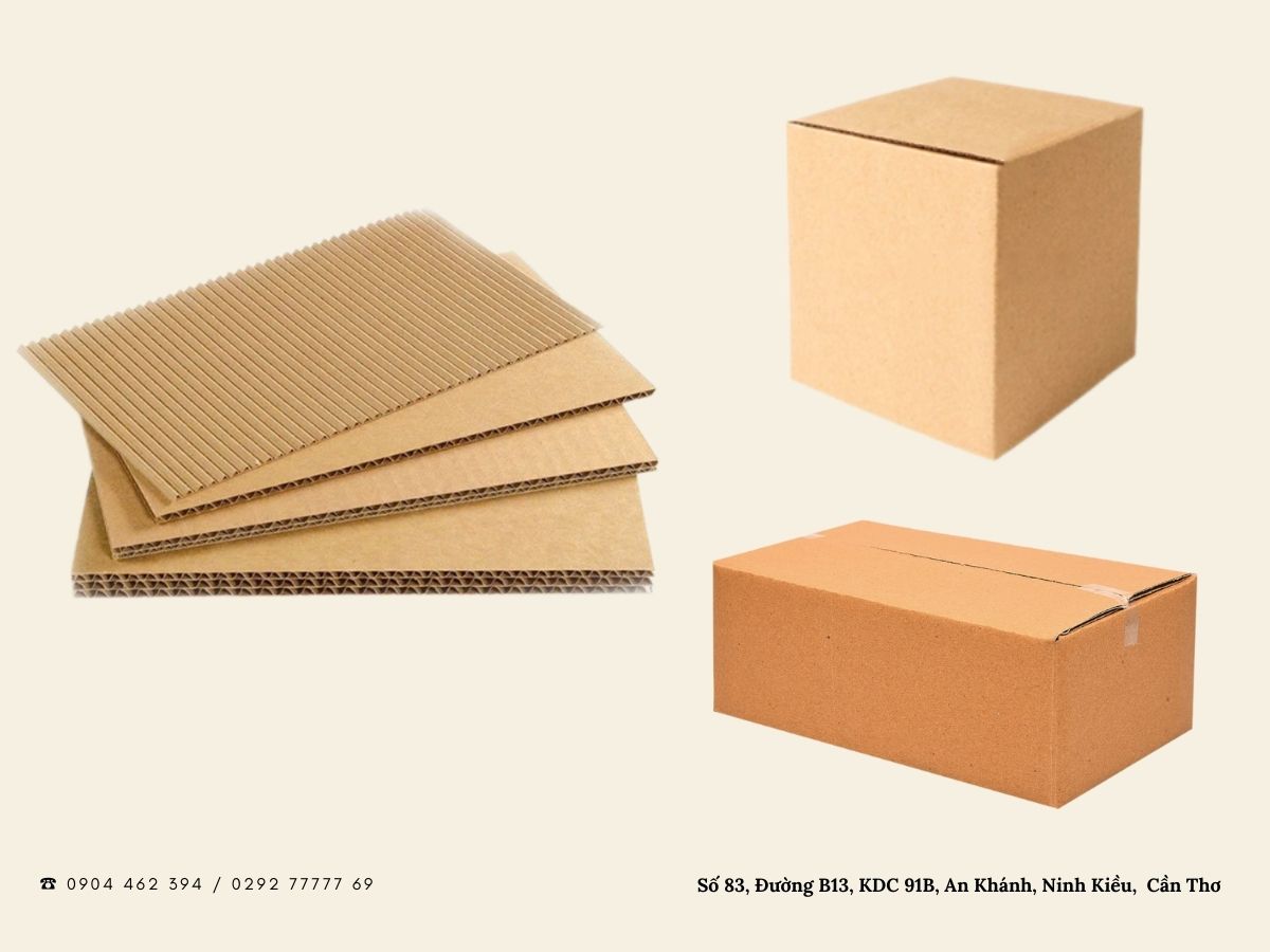 Giấy carton là gì? Phân loại và ứng dụng thực tế của giấy carton • Dao ...